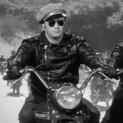 The Wild One | The National Museum of Cinema